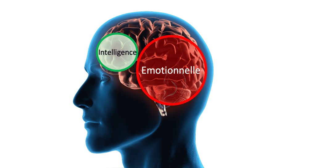Formation Intelligence émotionnelle - Skills4All